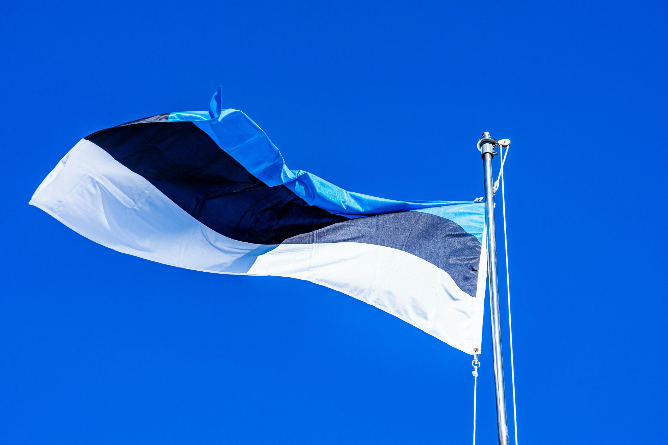 Estonia’s interoperable health records - Digital Care Hub